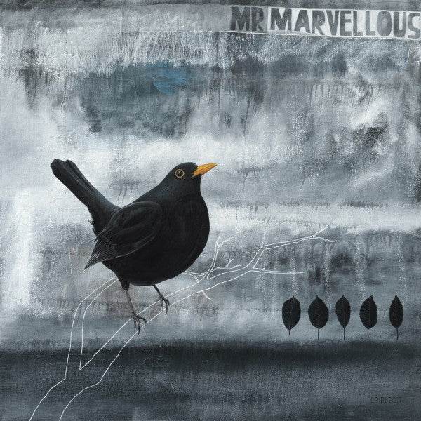 Mr Marvellous – The Adventures of Tin Man | Tony Cribb